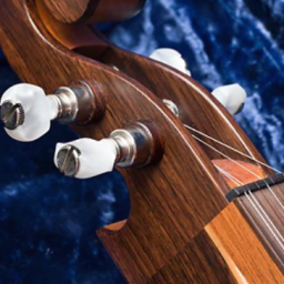 Tuning Pegs - Forums | fotmd.com