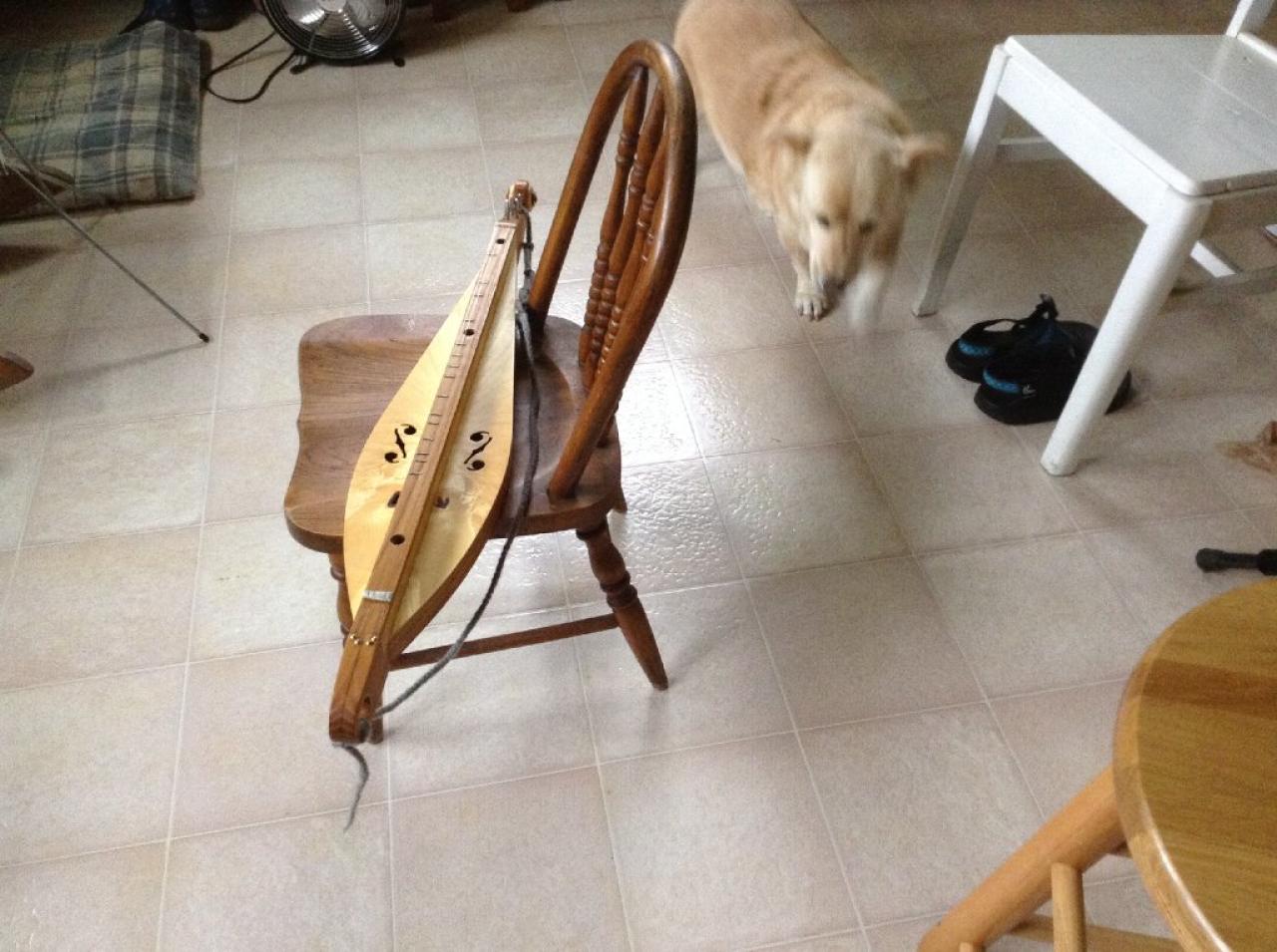 Shoat Hogfiddle Built By Bobby Ratliff - Photos - Robin Thompson ...